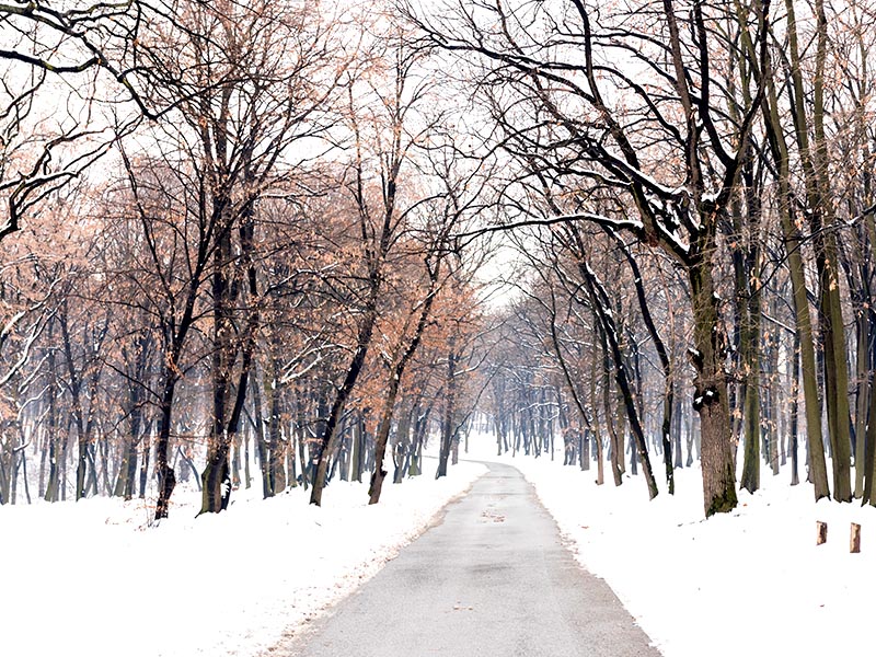 A Different Point of View - The Hemet & San Jacinto Chronicle