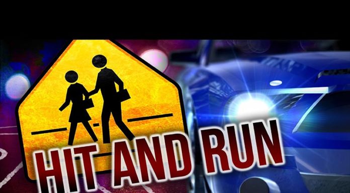 Crime & Incidents Archives - The Hemet & San Jacinto Chronicle