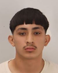 Assault with a Deadly Weapon - The Hemet & San Jacinto Chronicle