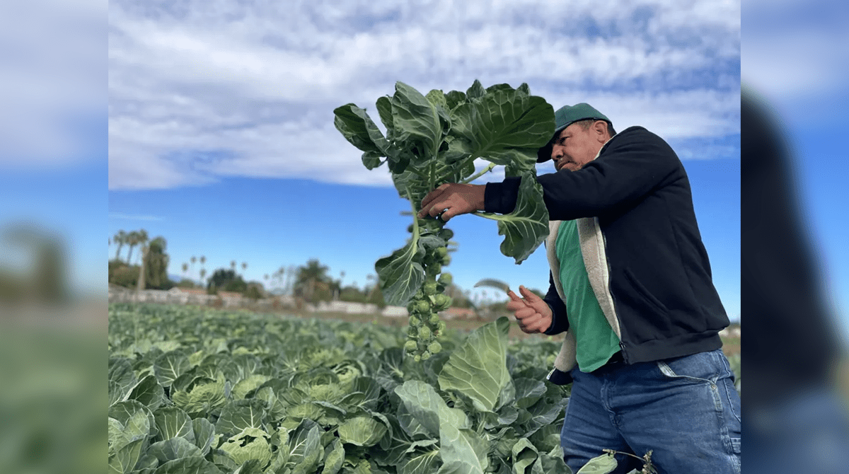 $783K Awarded to Support Urban Agriculture and Farmers via Inland ...