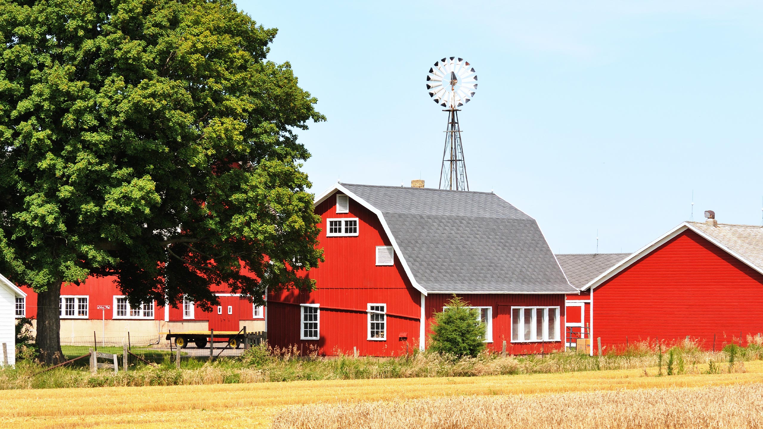 More Tainted Food Sold In CA Than Any Other State: Report - The Hemet ...