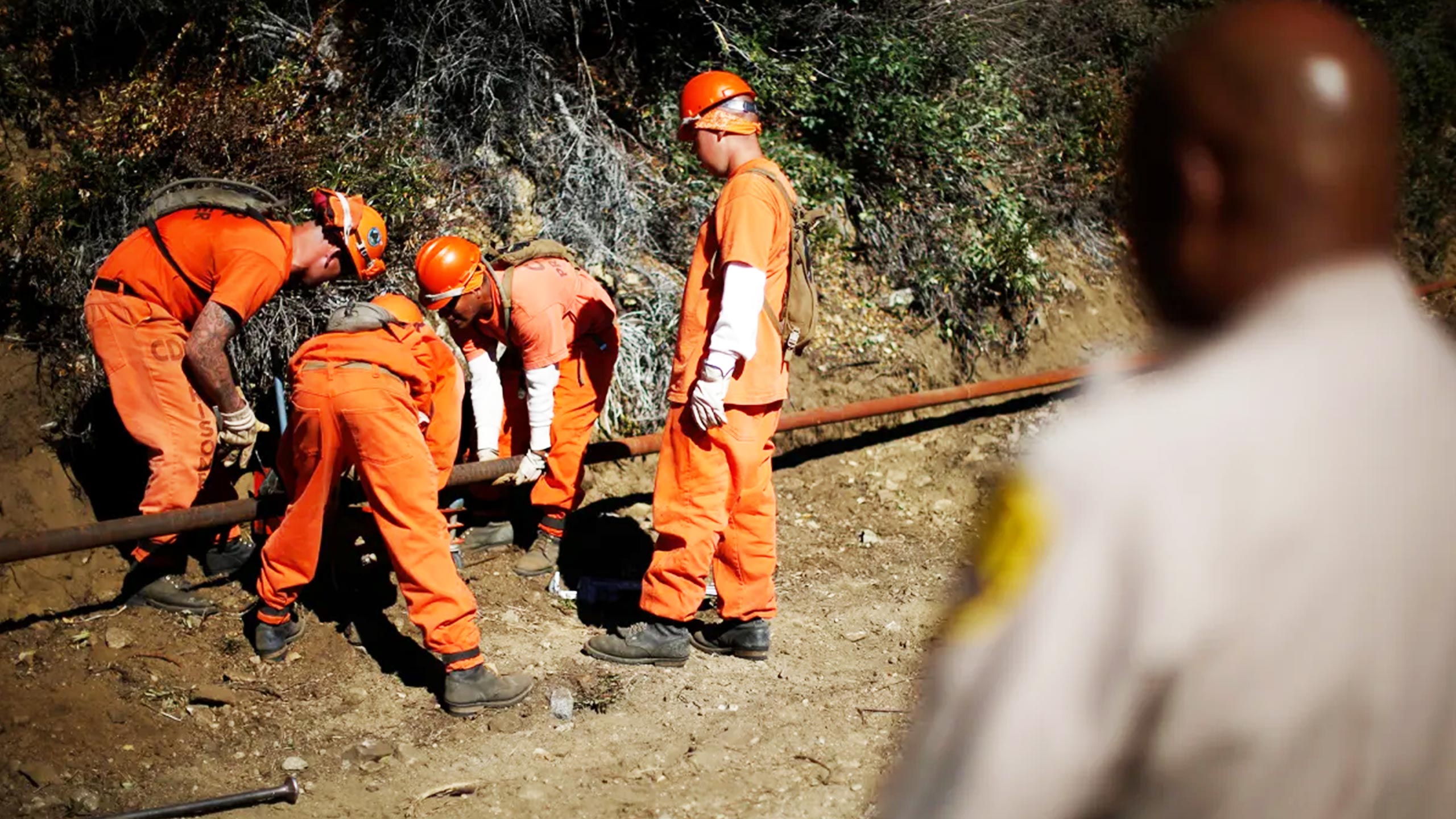 No one is fighting a proposition to ban forced labor