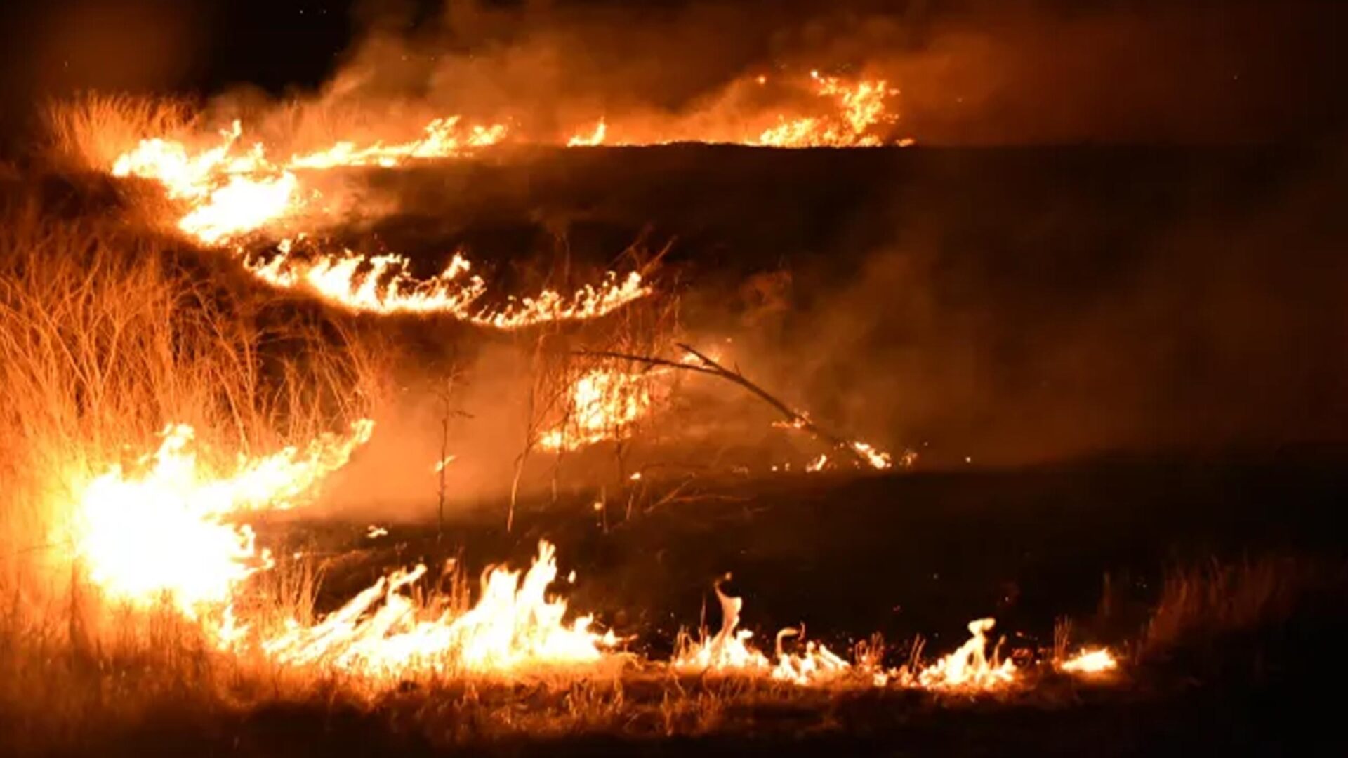 Chambers Fire burned in Hemet amid high-powered winds