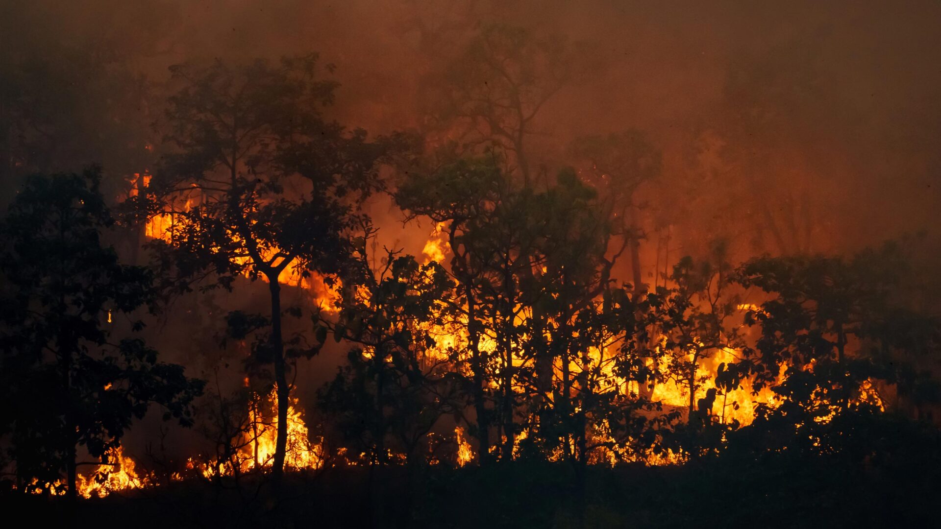 Banning Fire Map: See Wolf Fire Perimeter, Evacuation Areas - The Hemet ...